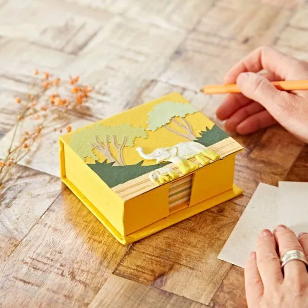 Colourful Elephant Dung Memo Box | Paper High