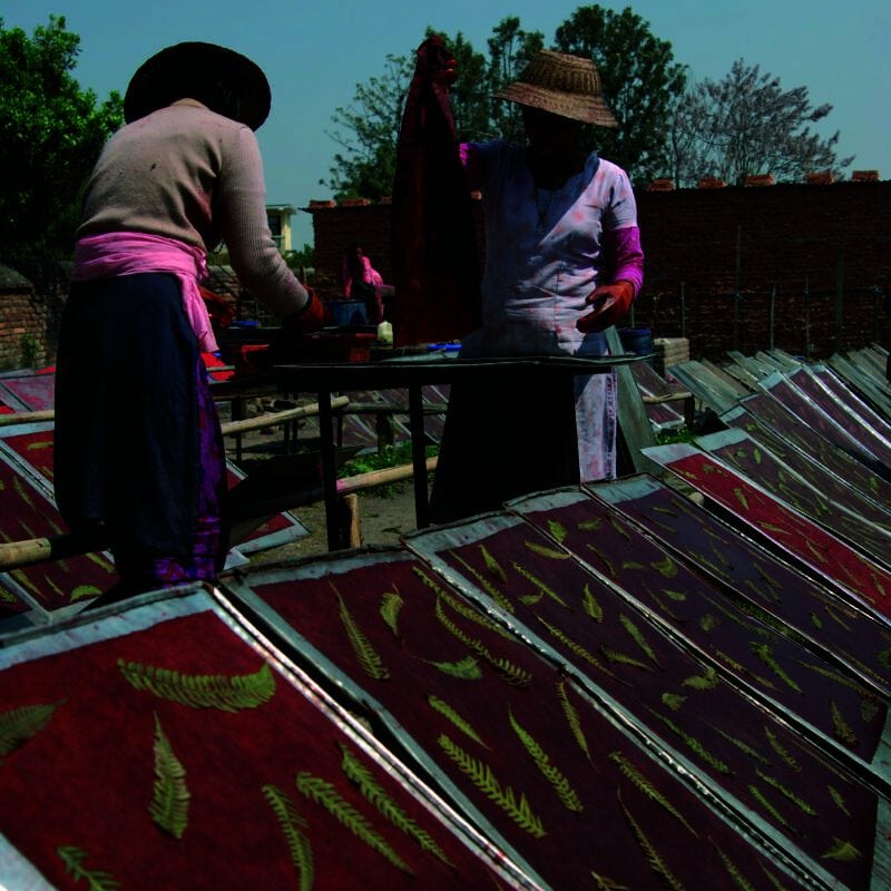 What is Lokta Paper and How is it Made? | Paper High