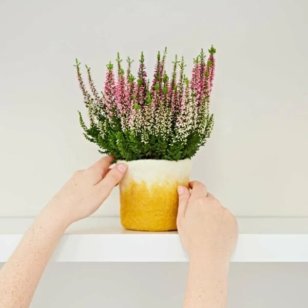 Handmade Felt Yellow Ombre Plant Pot Cover | Paper High