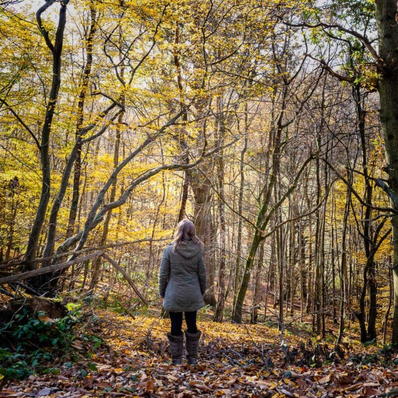 Forest Bathing Experience for Two | Paper High